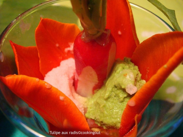 tulipes farcies aux 3 radis, gaces de fanes et de radis - CookingOut