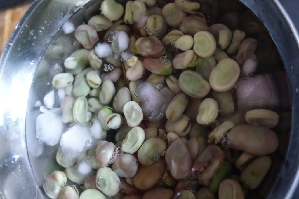 Comment préparer les fèves fraiches , pas à pas en photo