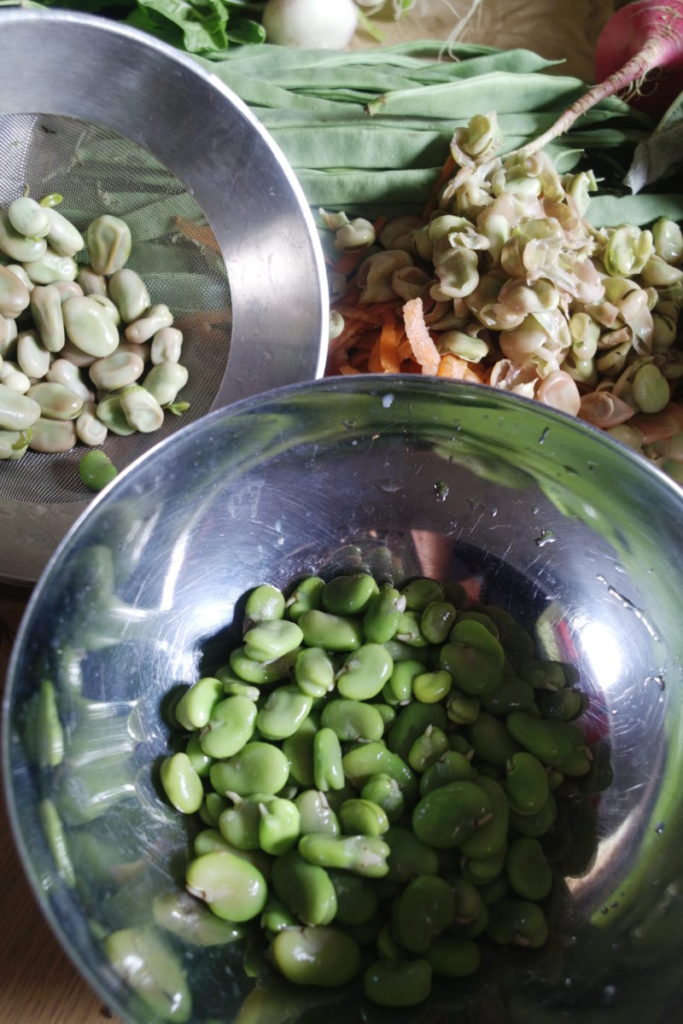 Comment préparer les fèves fraiches , pas à pas en photo