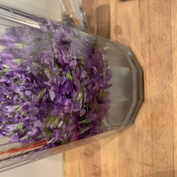 recette de sirop de violette, infusion à froid - Cooking Out