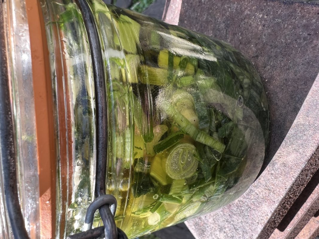 Condiment au vert de poireaux à la japonaise - Cookingout
