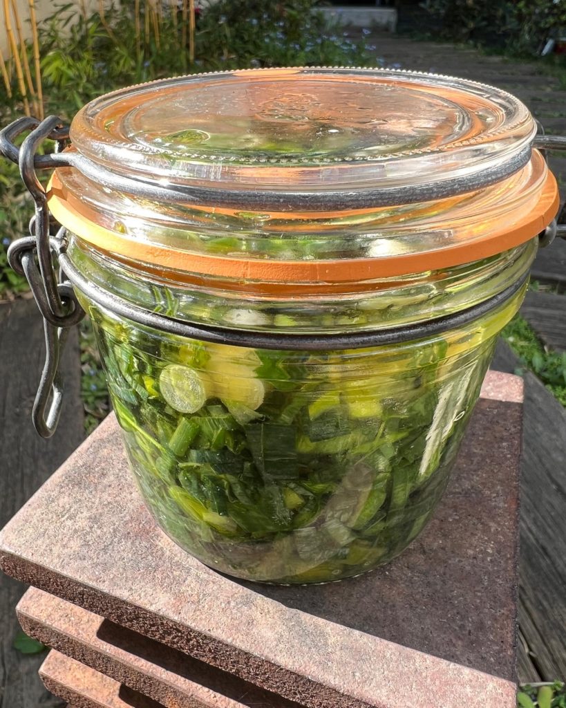 Condiment au vert de poireaux à la japonaise - Cookingout